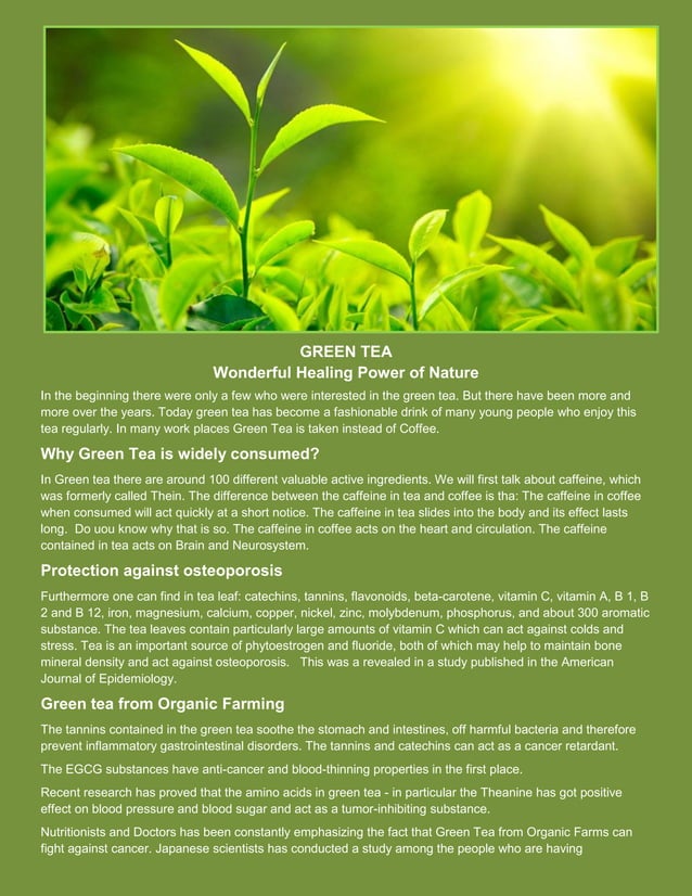 Benefits of Green Tea | PDF | Herbs and Supplements | Alternative Medicine