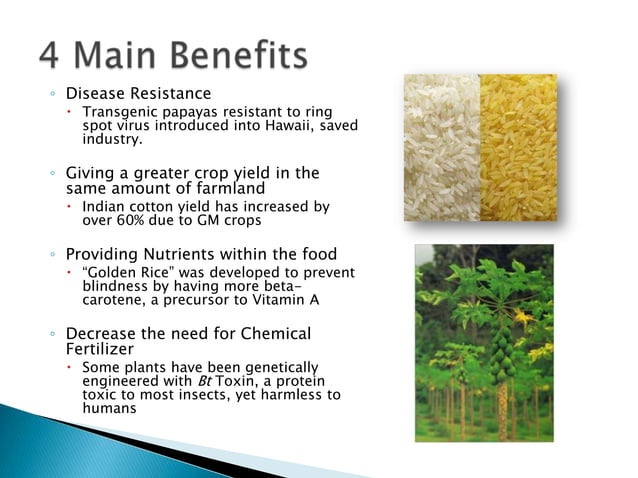 Benefits and harms of genetic modification (sharath reddy and hrachya ...