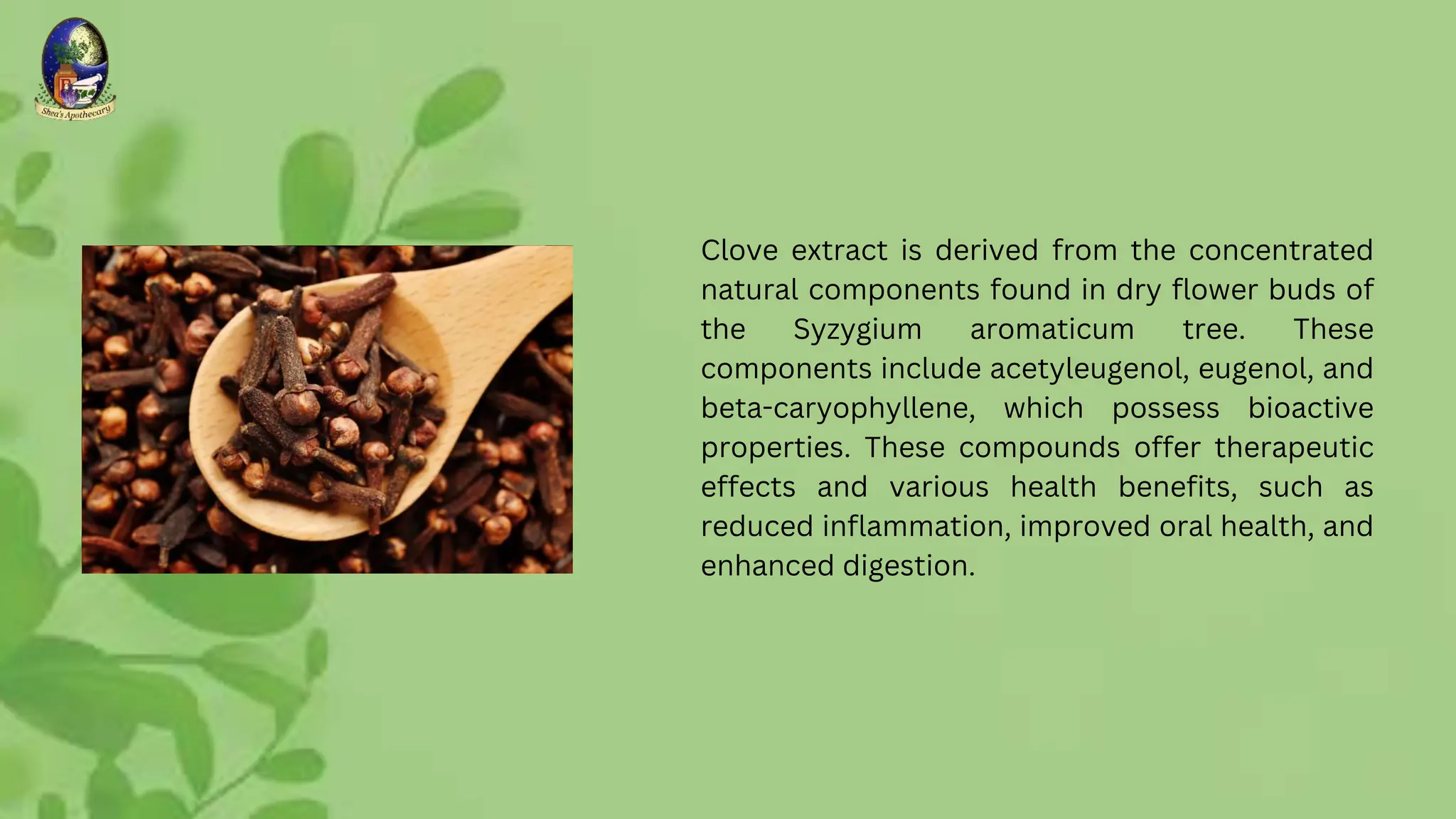 Benefits and Side Effects of Clove Extract | PPT