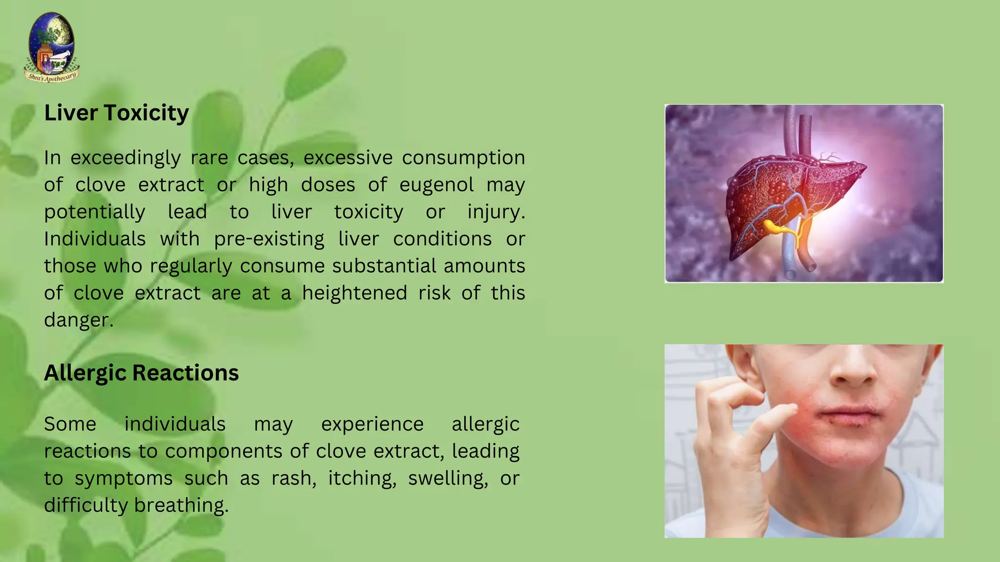 Benefits and Side Effects of Clove Extract | PPT