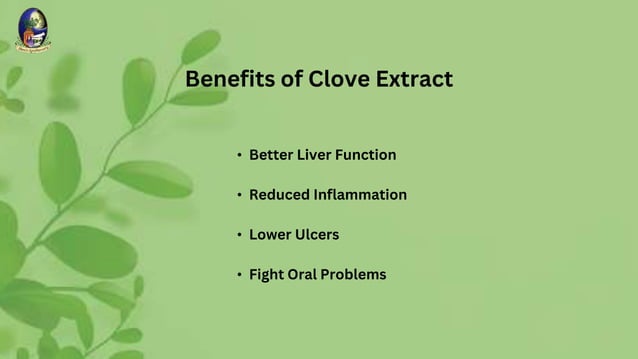 Benefits and Side Effects of Clove Extract | PPT