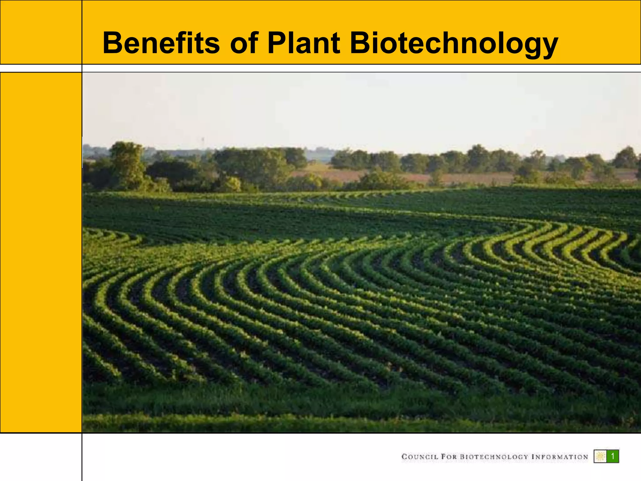 Benefits of Plant Biotechnology | PPT