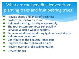 Benefits derived from planting tress and fruit bearing | PPTX