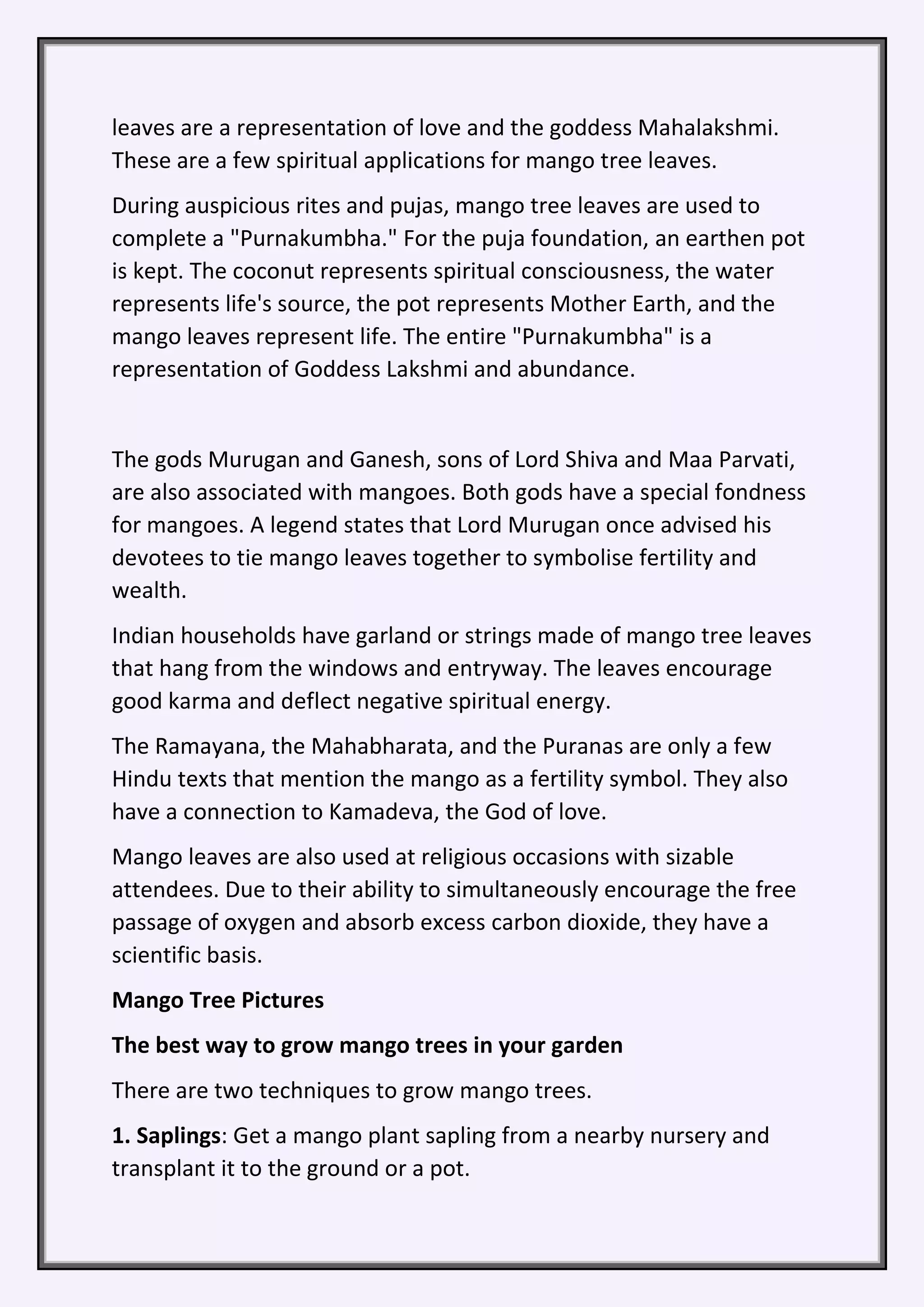 Benefits, Importance, and Growing Instructions for Mango Trees.pdf