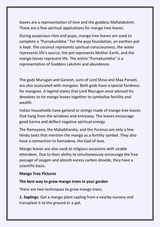 Benefits, Importance, and Growing Instructions for Mango Trees.pdf
