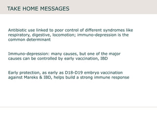 Benefits of a Herpesvirus of turkey vector vaccine for IBD.pdf