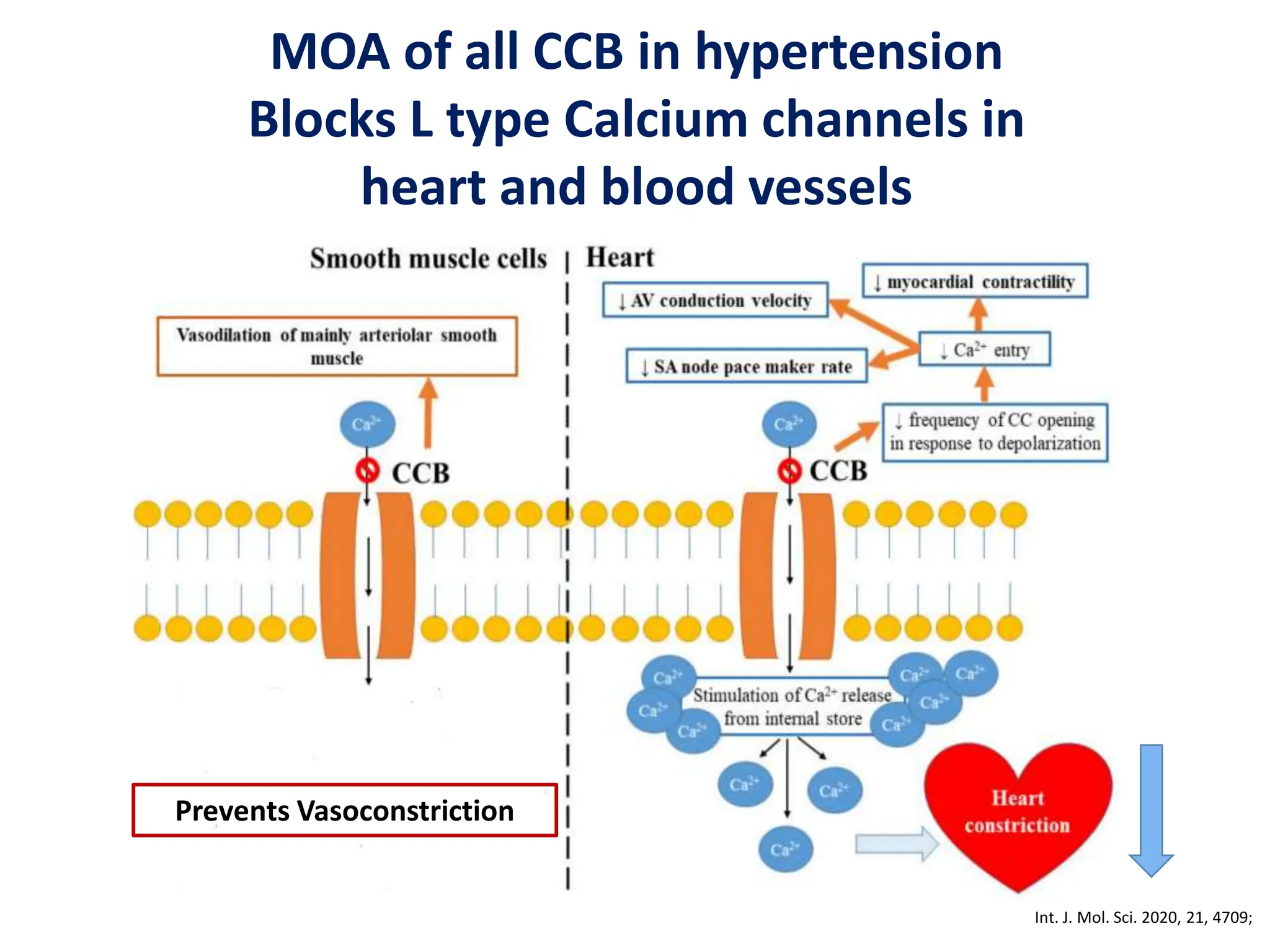 Benefits of Azelnidipine - Cardio Aspect.ppt
