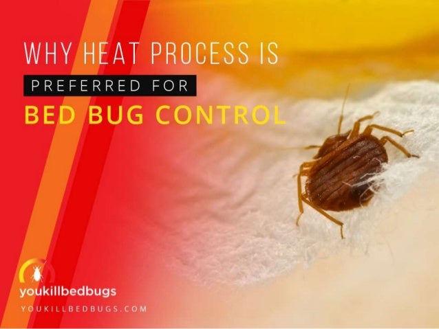 Benefits of Bed Bugs Heat Treatment Edmonton Benefits of Bed Bugs Heat Treatment Edmonton