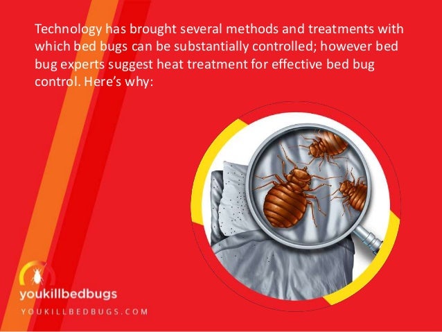 Benefits of Bed Bugs Heat Treatment Edmonton Benefits of Bed Bugs Heat Treatment Edmonton