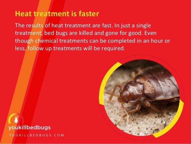 Benefits of Bed Bugs Heat Treatment Edmonton Benefits of Bed Bugs Heat Treatment Edmonton
