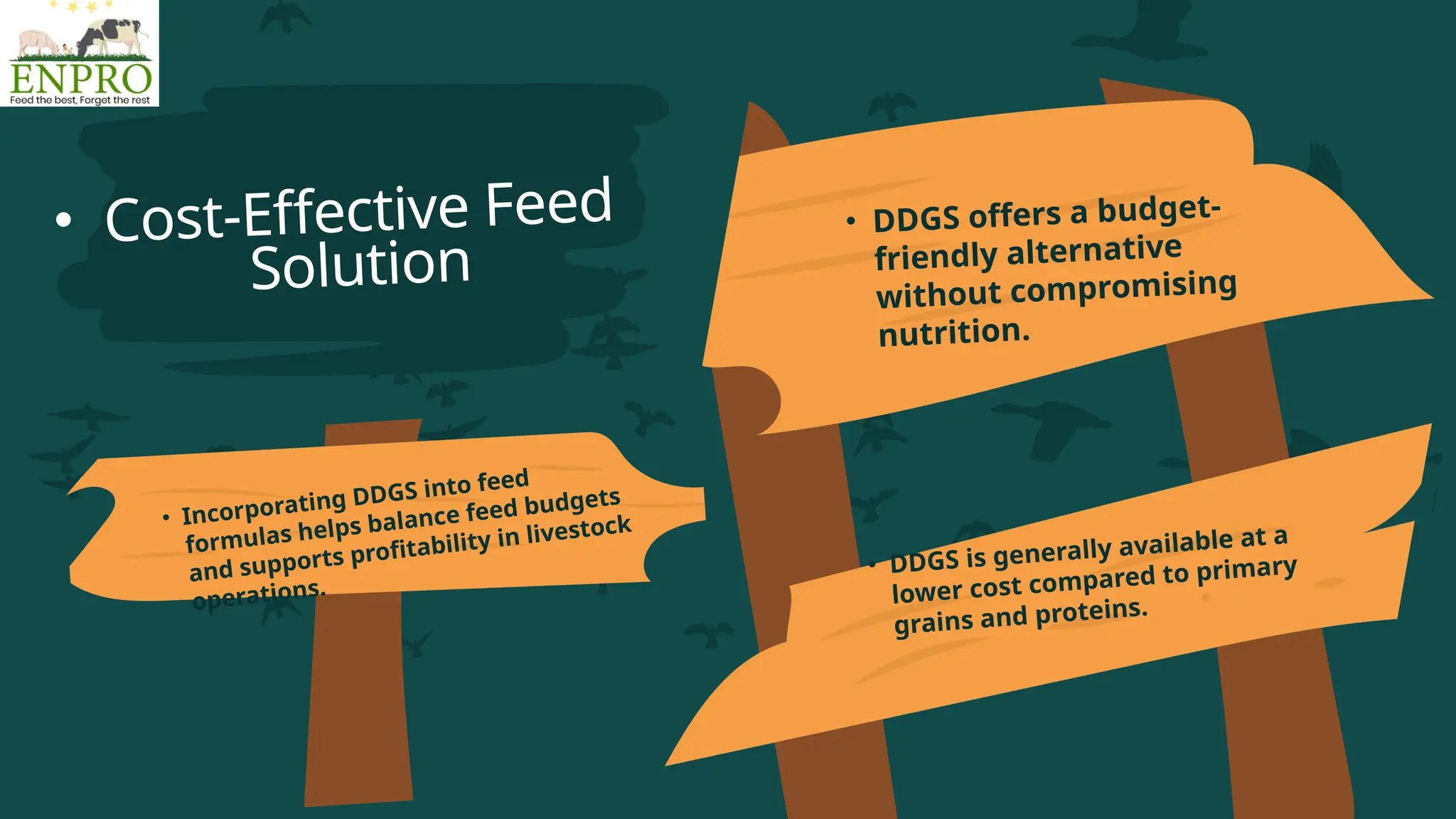 what is the Benefits of DDGS in animal feed? | PPTX