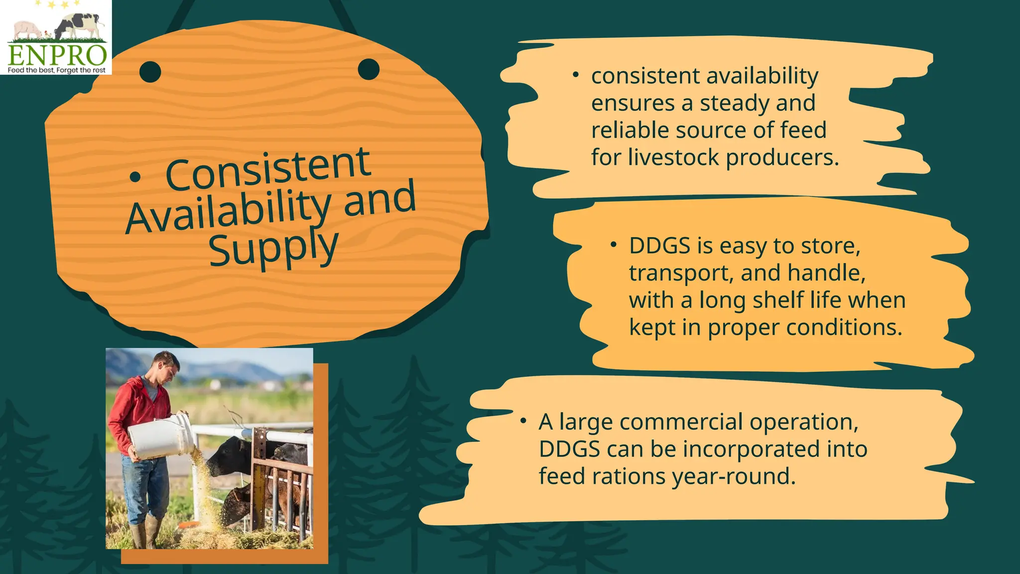 what is the Benefits of DDGS in animal feed? | PPTX