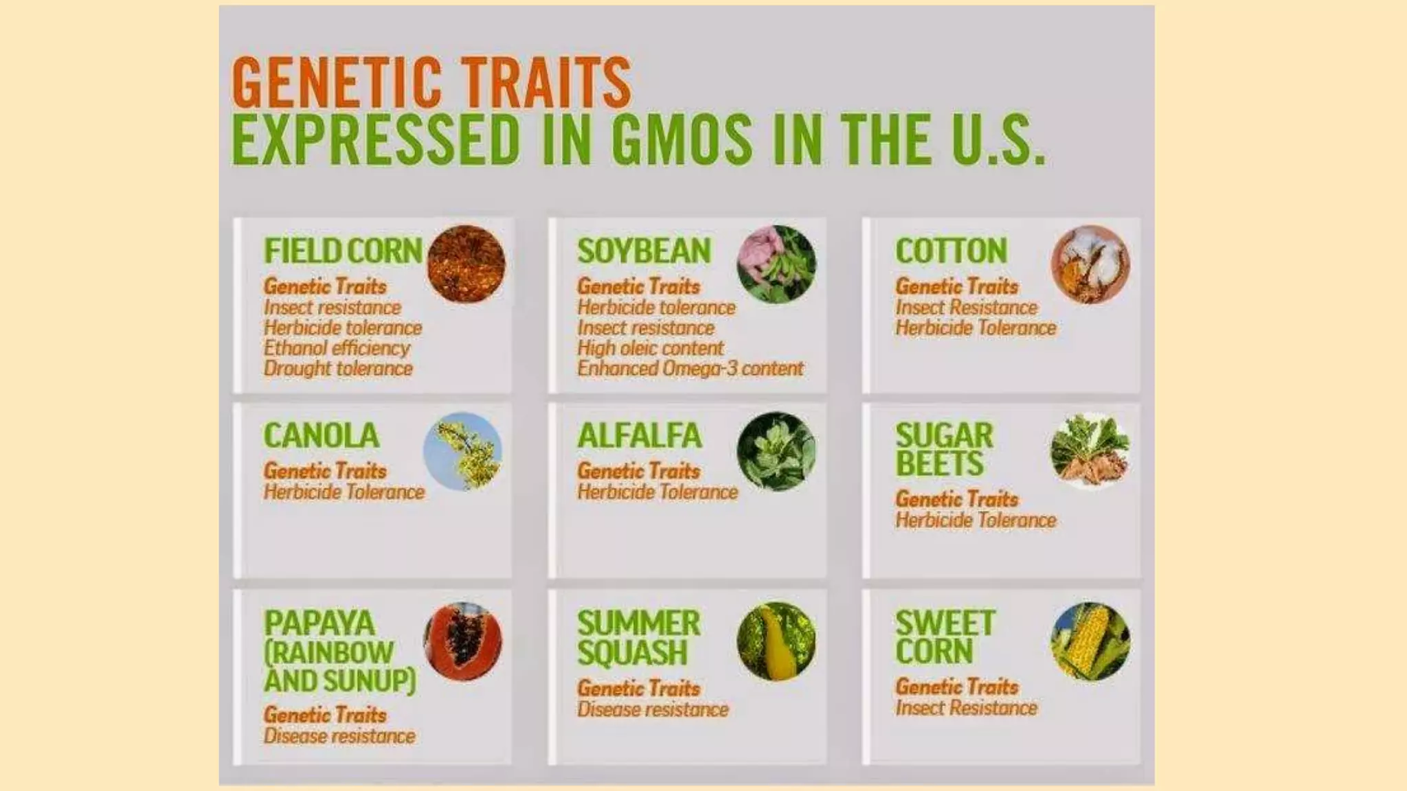 _Benefits of Genetically Modified Organisms.pptx