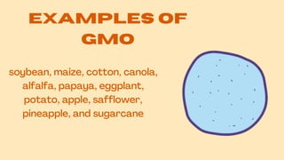 _Benefits of Genetically Modified Organisms.pptx