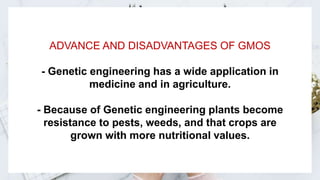 benefits of GMOs.pptx | Free Download