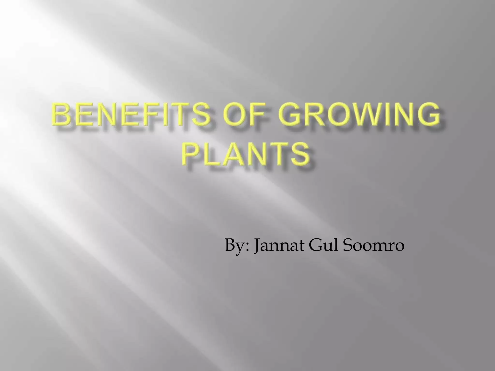 Importance of Plants for Humans | PPT
