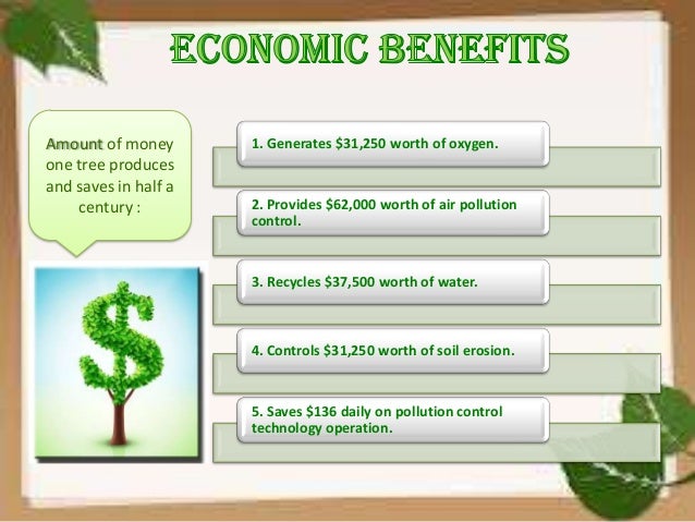 Benefits Of Having Trees