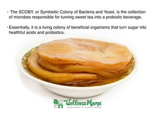 Benefits of Kombucha | PDF