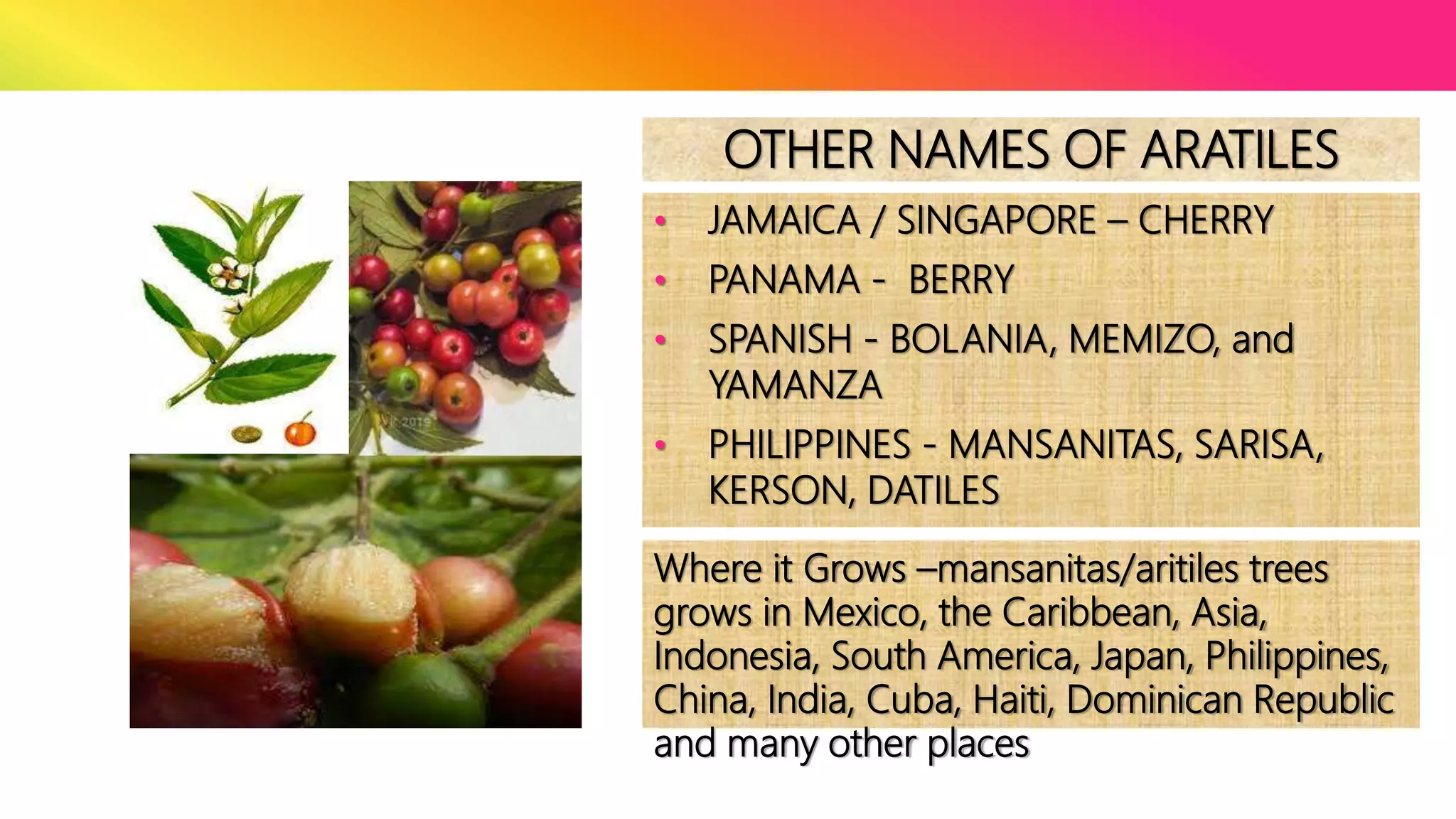 Benefits of mansanitas | PPTX