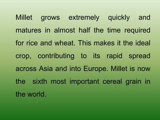 BENEFITS OF MILLETSINTERNATIONAL YEAR OF MILLETS - 2023.ppt