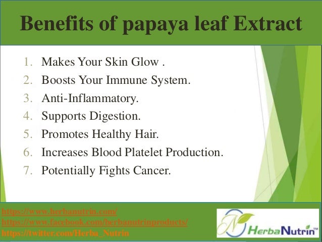Benefits of papaya leaf extract