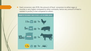 BENEFITS OF POULTRY.pptx