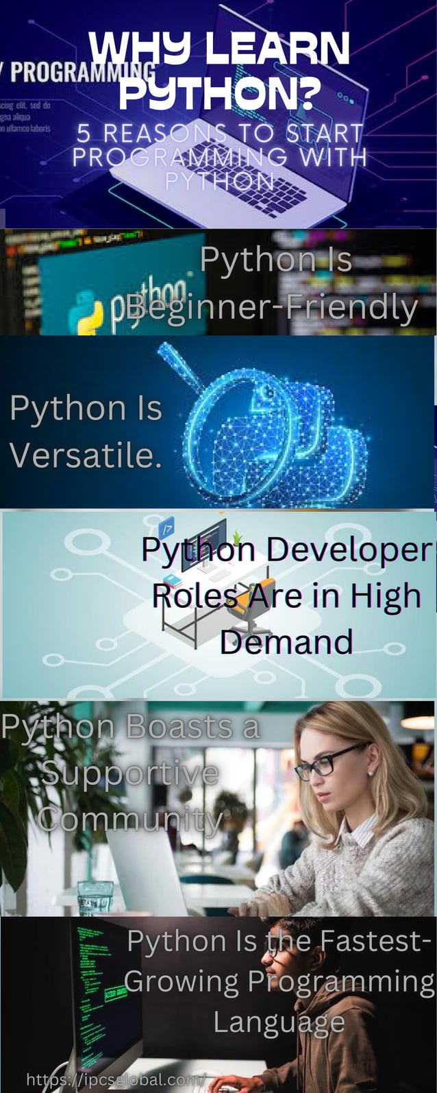 BENEFITS OF PYTHON COURSE.pdf