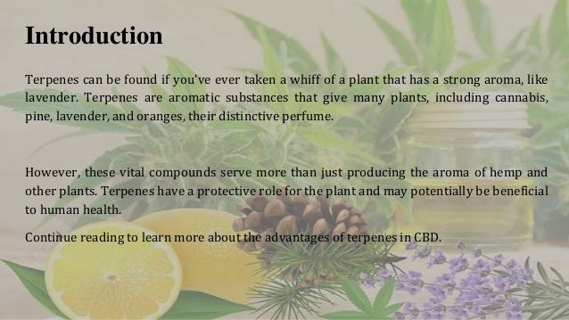 Benefits of Terpenes | PPTX