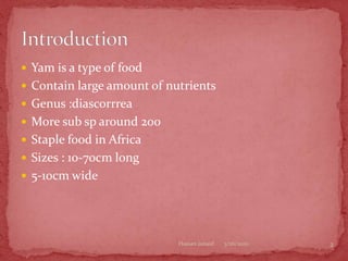 Benefits of the yam | PPTX