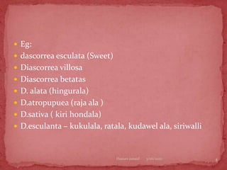 Benefits of the yam | PPTX | Chemistry | Science