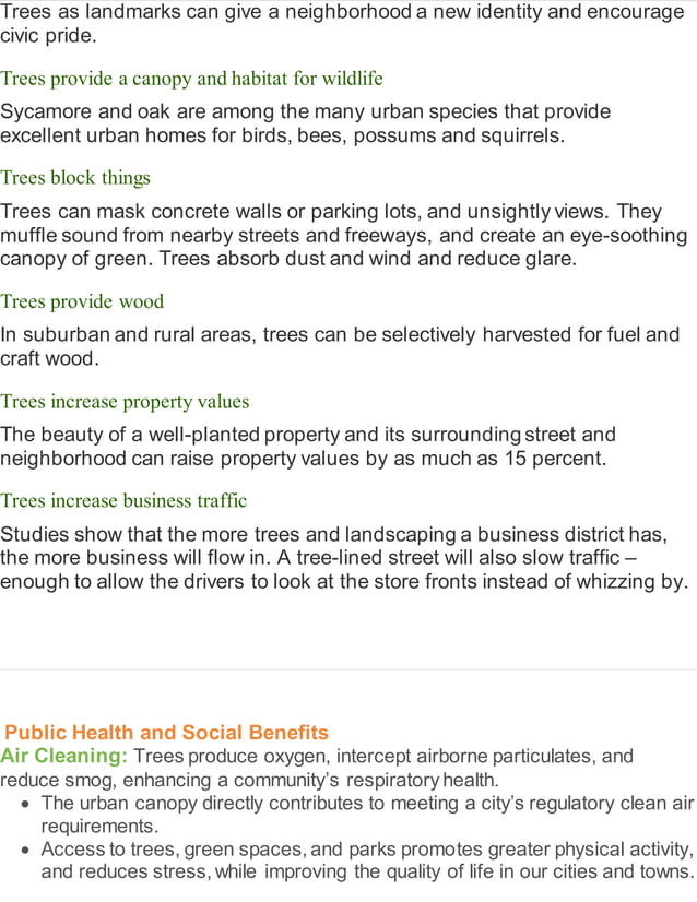 TREES!! | PDF | Free Download