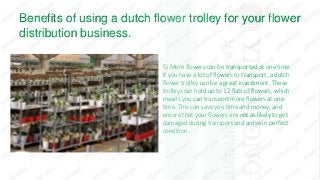 What are the benefits of dutch flower trolley | PPT