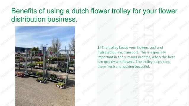 What are the benefits of dutch flower trolley | PPT