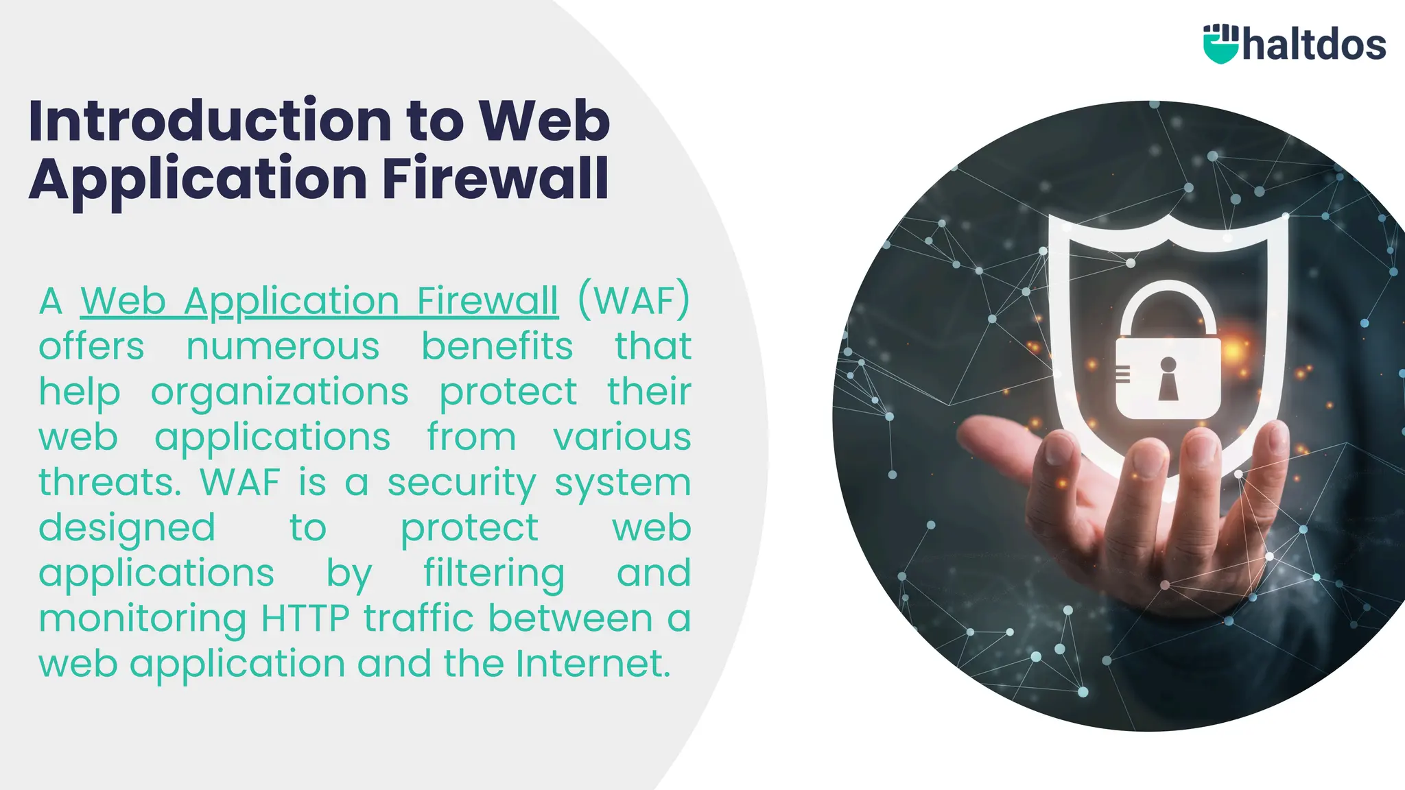 Benefits of web application firewall (1).pdf