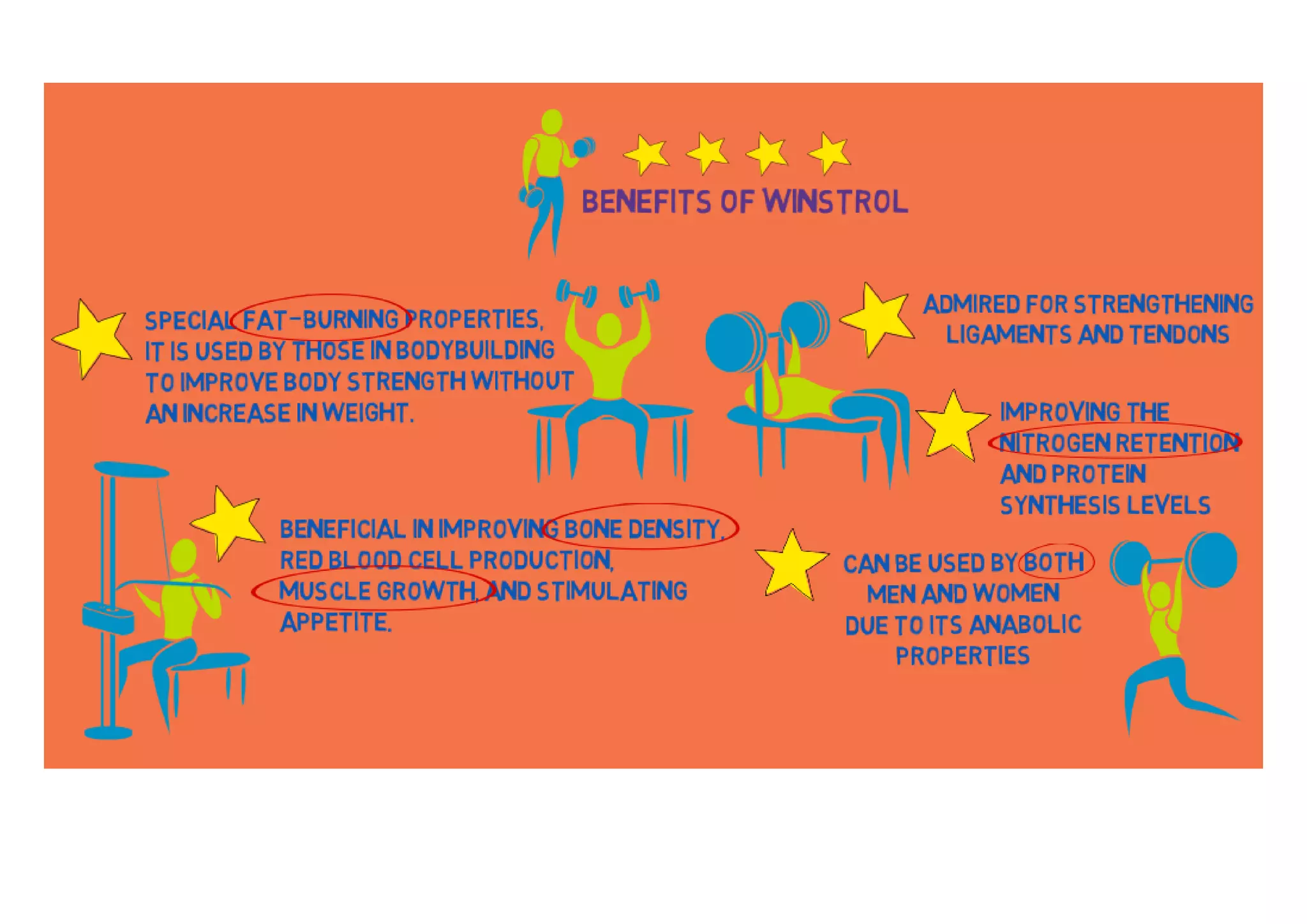 Benefits of winstrol | PDF