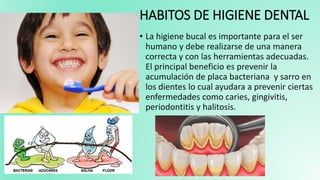 HÁBITOS DE HIGIENE DENTAL | PPTX