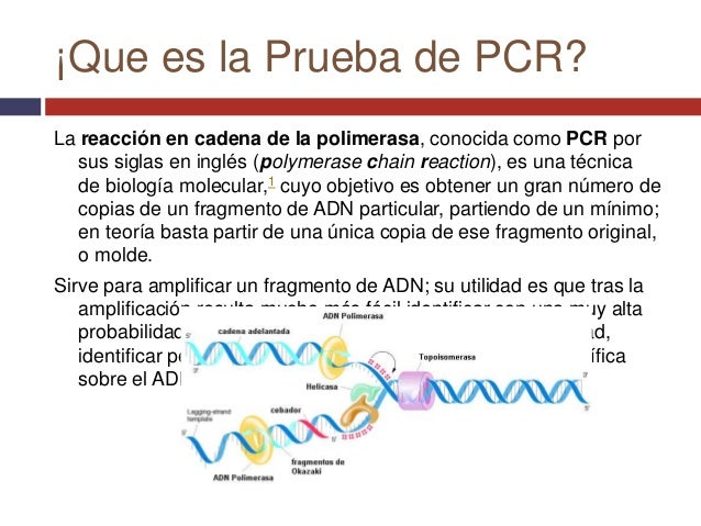 Prueba de PCR