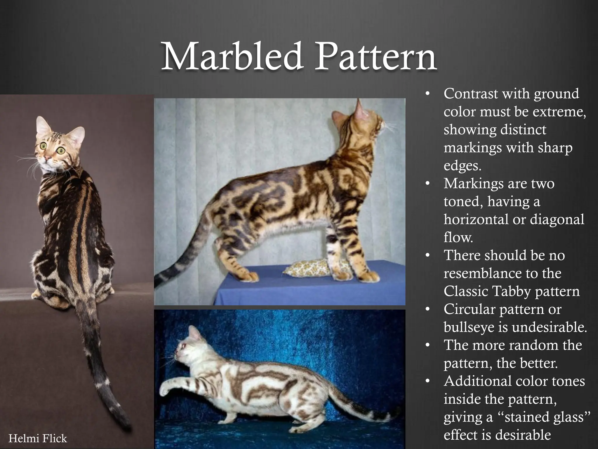 Bengal Cat standards and characters for show | PDF