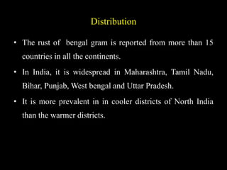 Bengal gram rust | PPTX