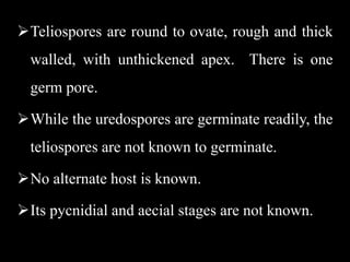 Bengal gram rust | PPTX