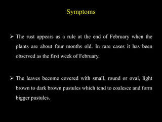 Bengal gram rust | PPTX