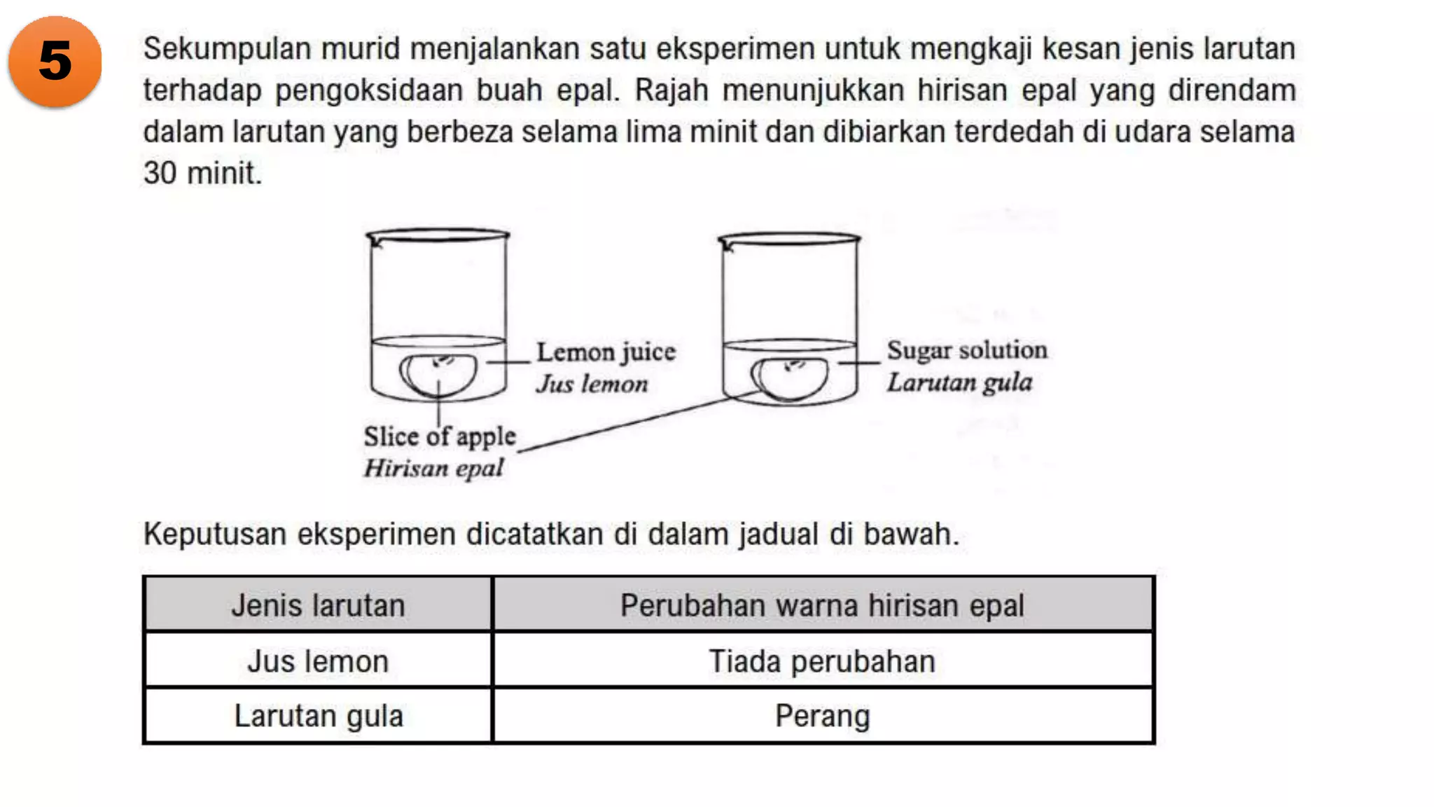 BENGKEL TEKNIK MENJAWAB SAINS KERTAS 2.docx
