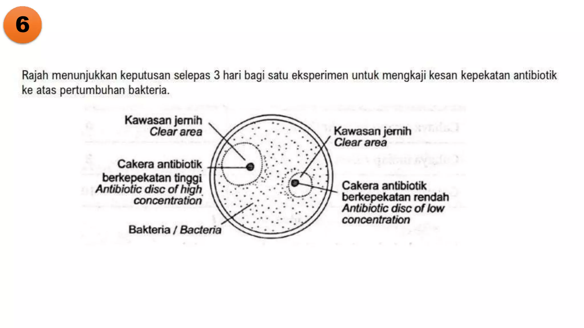 BENGKEL TEKNIK MENJAWAB SAINS KERTAS 2.docx