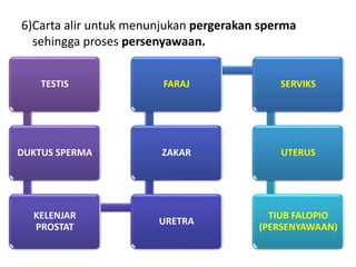 Persenyawaan | PPTX