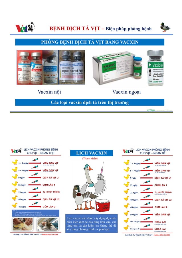 Benh dich ta vit vet24h | PDF