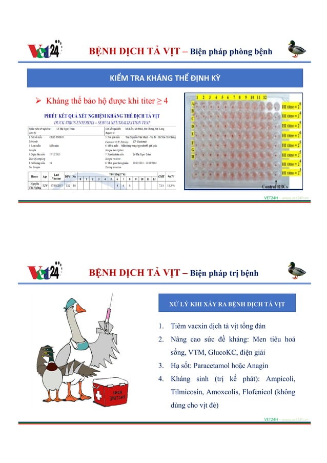 Benh dich ta vit vet24h | PDF