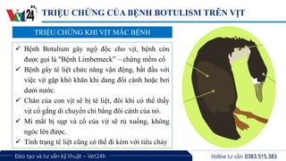Benh do botulium tren vit vet24h | PPT