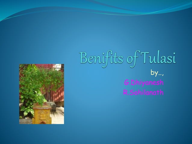 Benifits of tulsi | PPT
