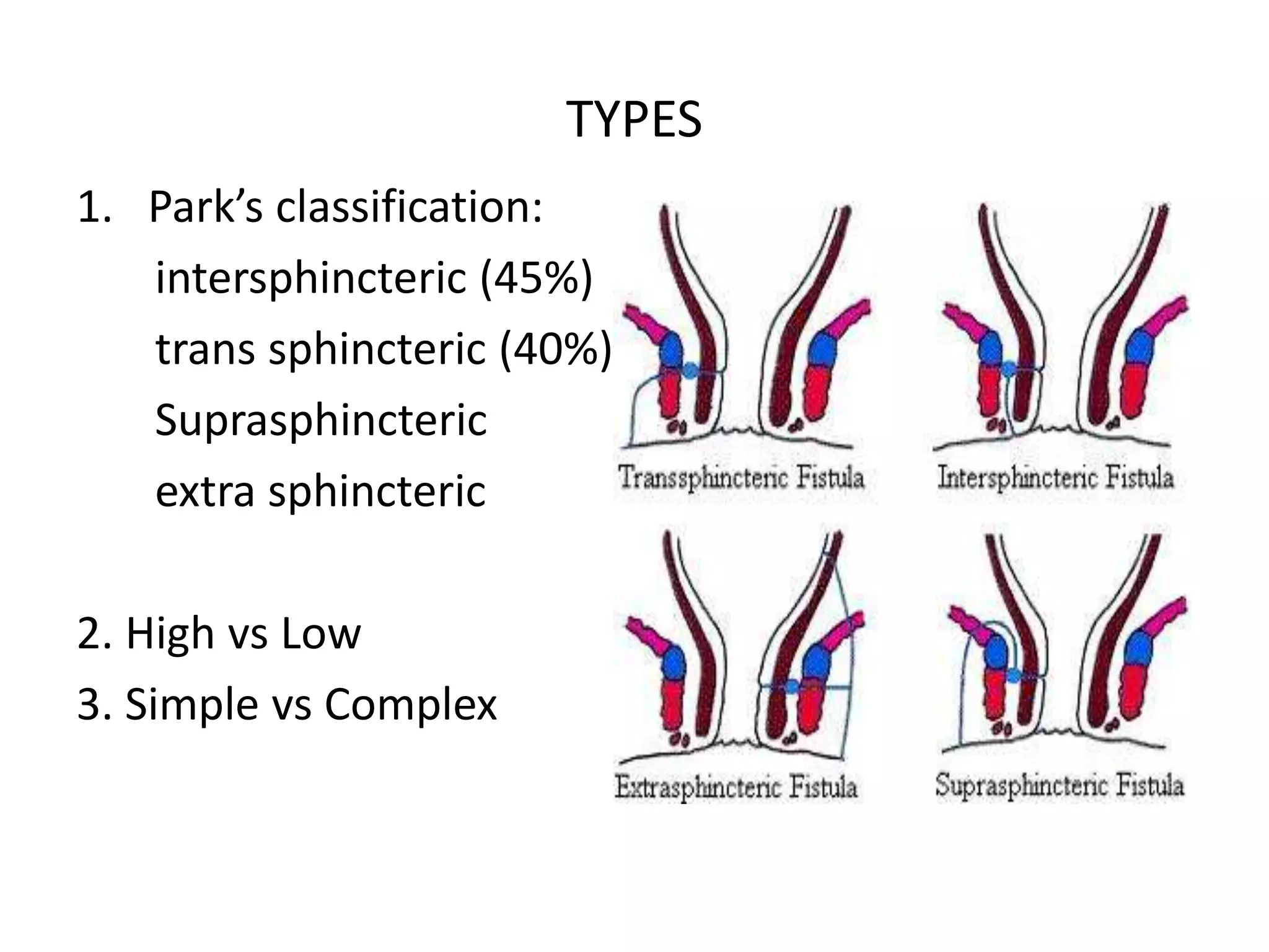 Benign anal and perianal conditions | PPTX