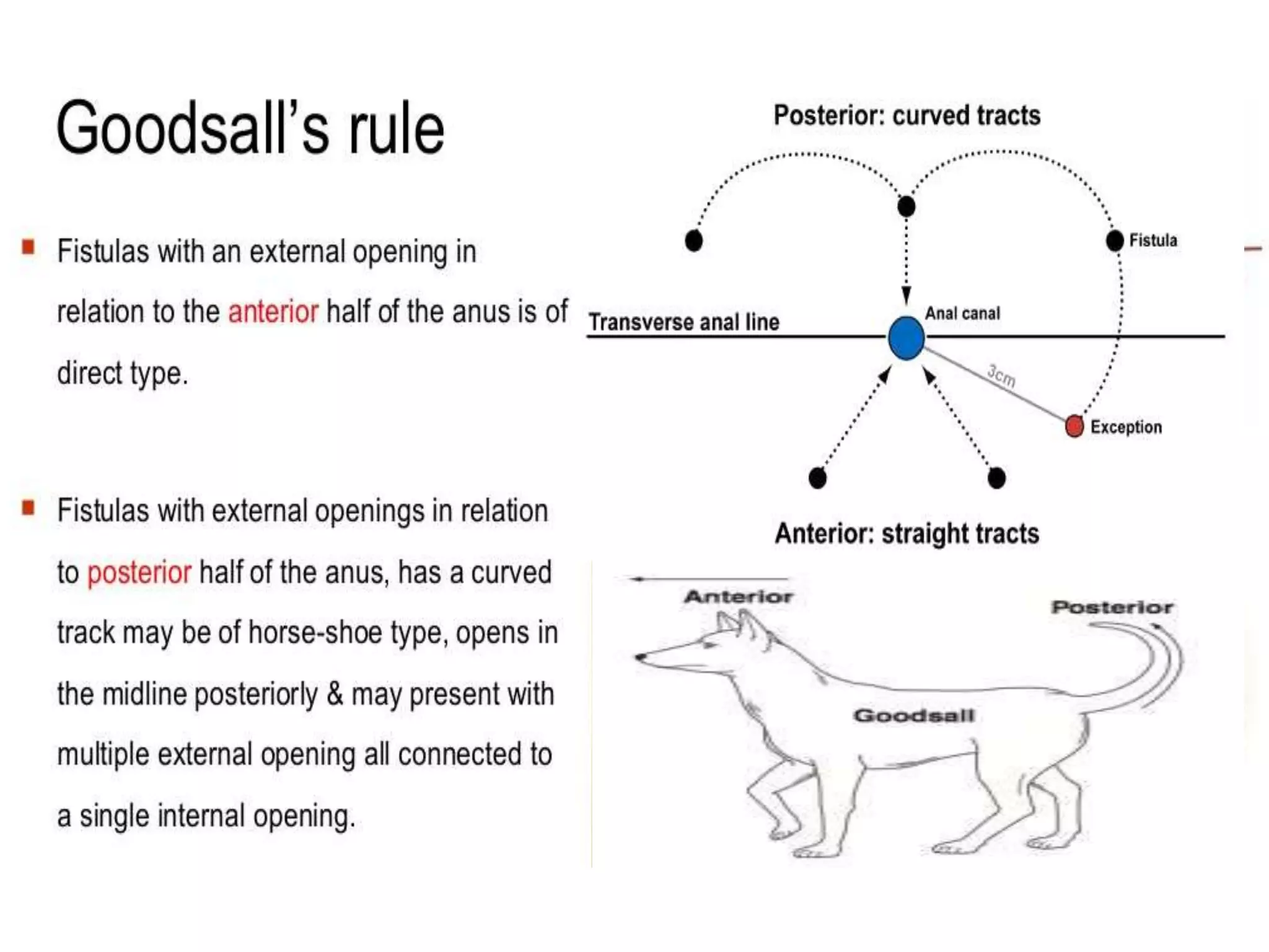 Benign anal and perianal conditions | PPTX
